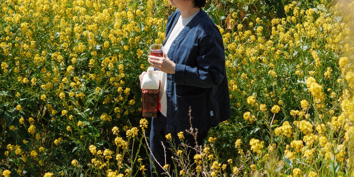 Cold Brew Collection | PARU Specialty Tea in San Diego Since 2017